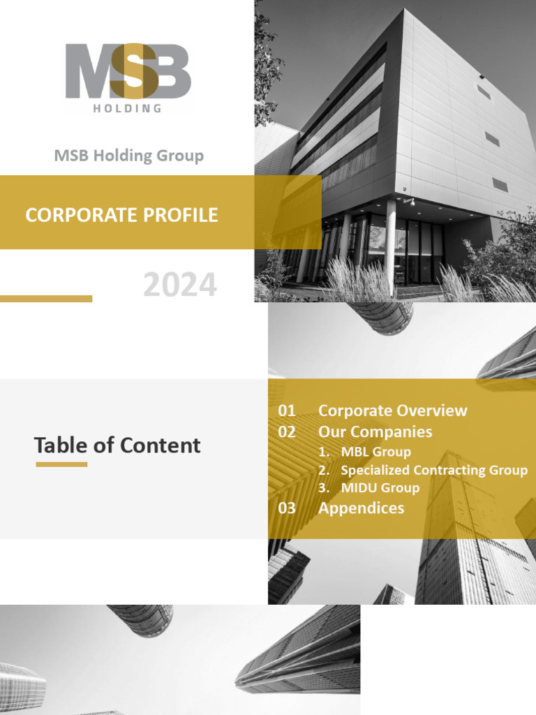 MSB Holding Group Corporate Profile 2024 | PDF | Natural Gas | Economies