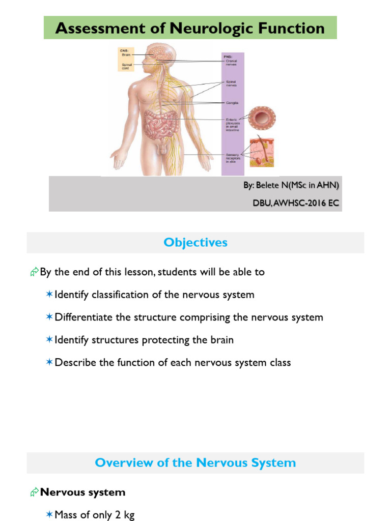 1. Assessment of Neurologic Function | PDF | Cerebrospinal Fluid | Vertebral Column