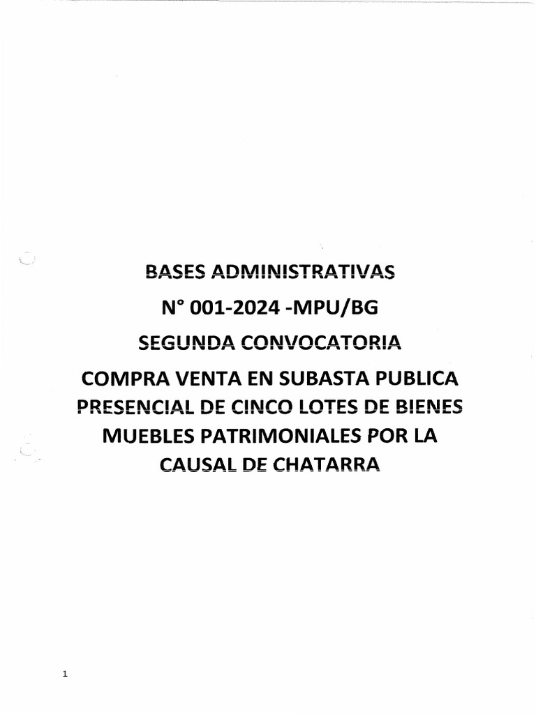 Bases Administrativas | PDF | Subasta | Documento de identidad