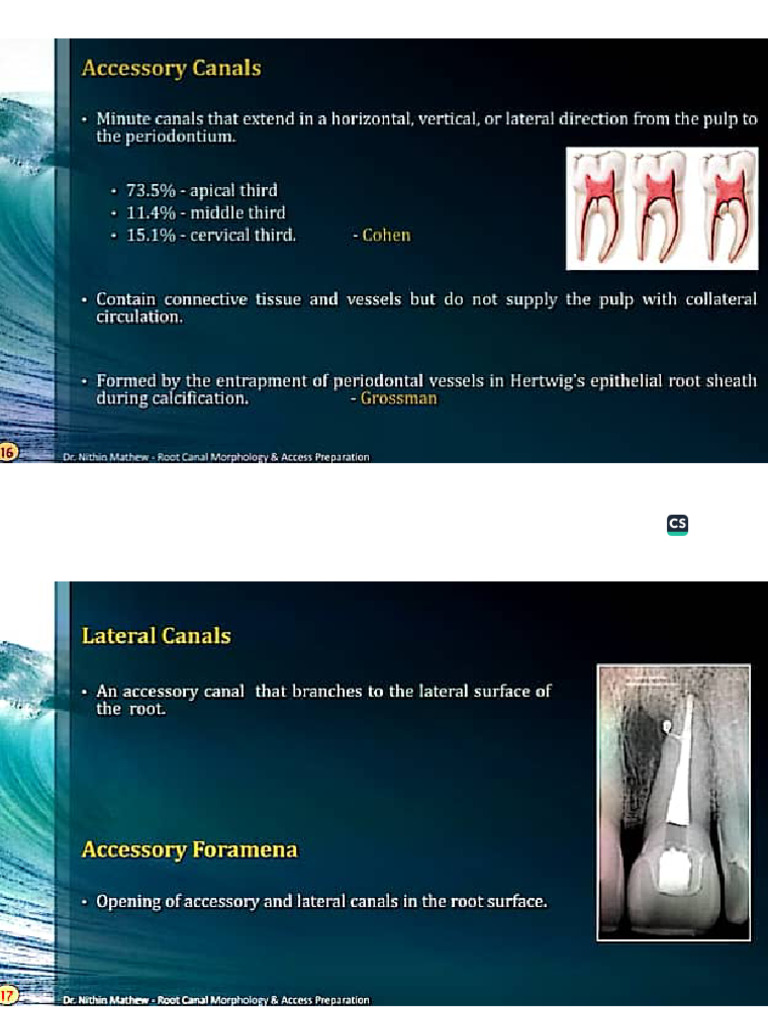 Accessory Canals and Lateral Canals | PDF