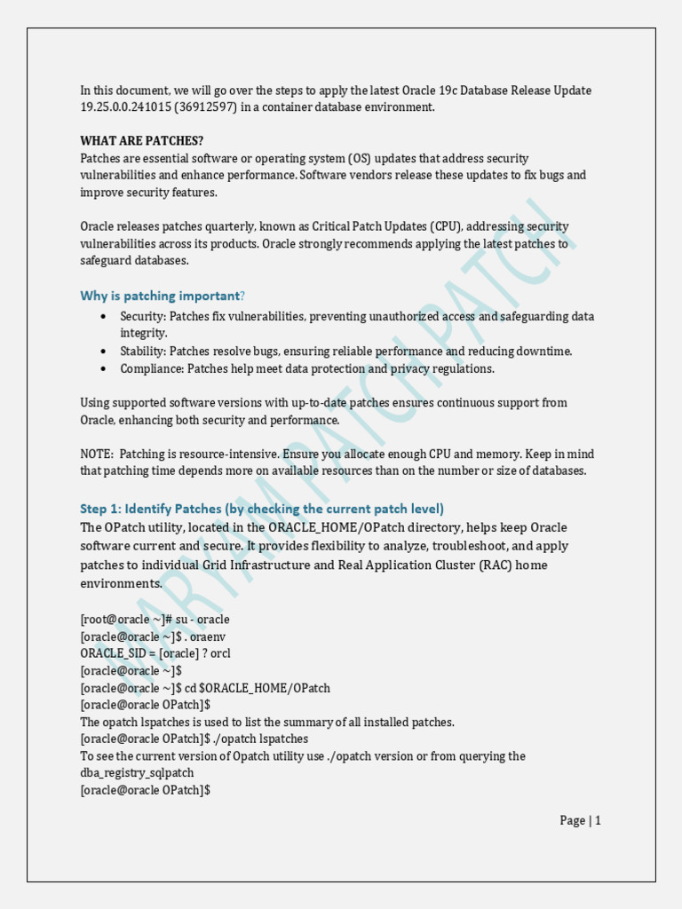Oracle 19c Patch Application Guide | PDF | Zip (File Format) | Security