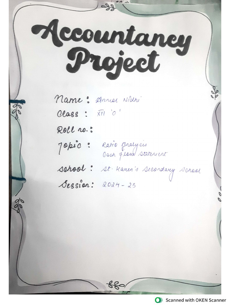 Accountancy Project | PDF