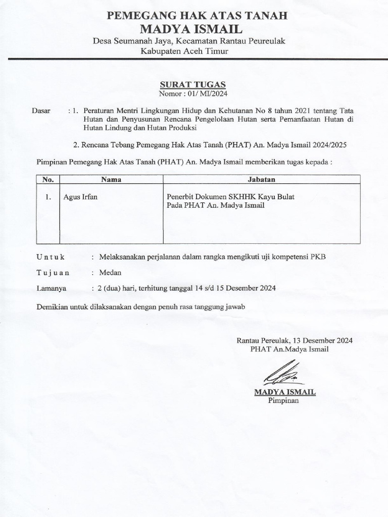 Surat Tugas PKB | PDF