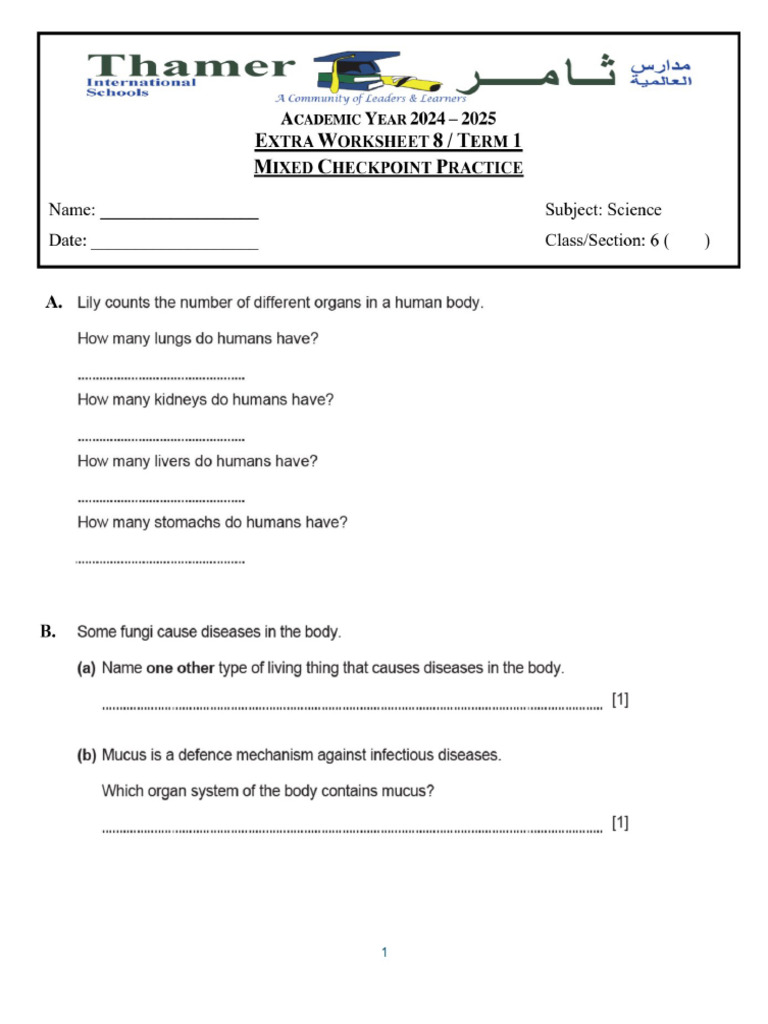 Grade 6 Worksheet 8 | PDF