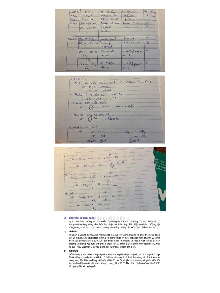 Phao Hoa Và Sính | PDF