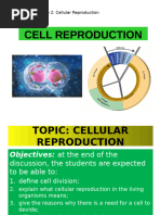 Mitosis and the Cell Cycle - Cell Division - AQA - GCSE Biology (Single Science) Revision - AQA ...