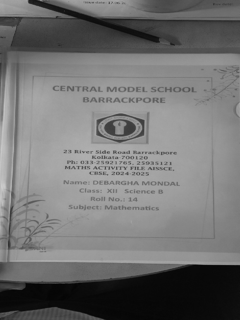 CL 12 Math Halfyearly Project | PDF