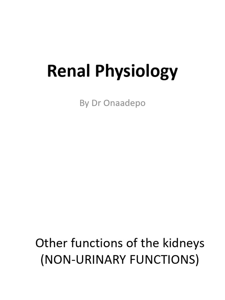 Functions of the Kidneys Explained | PDF | Urination | Kidney
