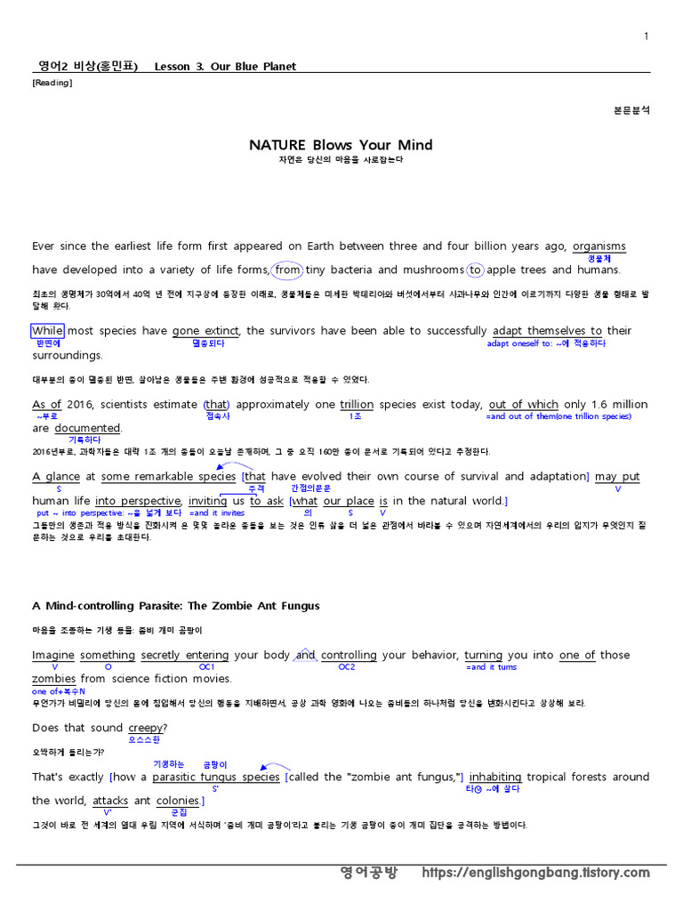 E2 VS L3 분석 | PDF