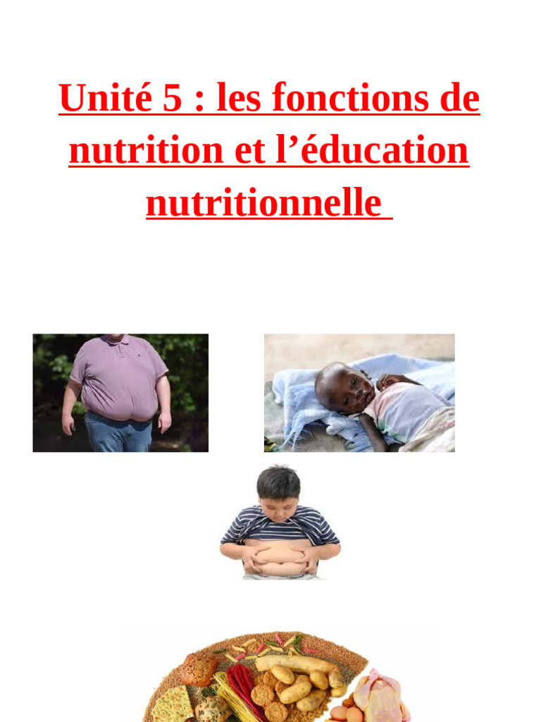 chapitre 1 les aliments | PDF | Nutriments | Nourritures