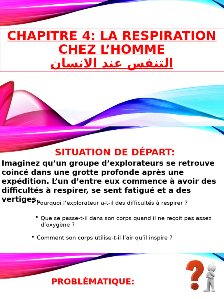 Chapitre 4 - La Respiration Chez L'homme | PDF | Respiration | Poumon