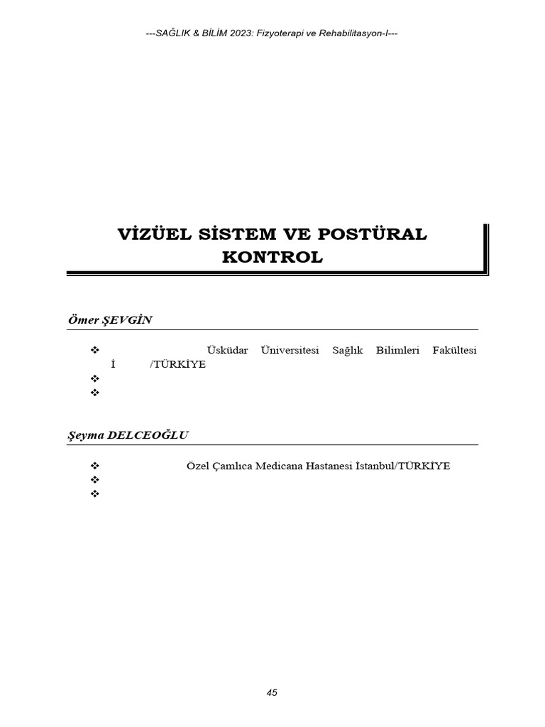 Visual Systemand Postural Control | PDF