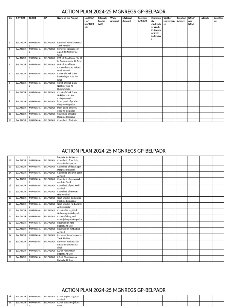 Action Plan | PDF