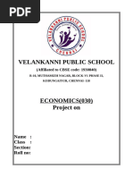 Economics Project Cover Page Design | PDF