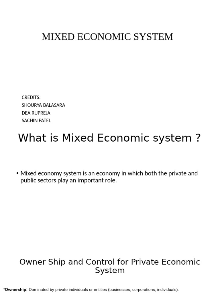 Mixed Economic System | PDF