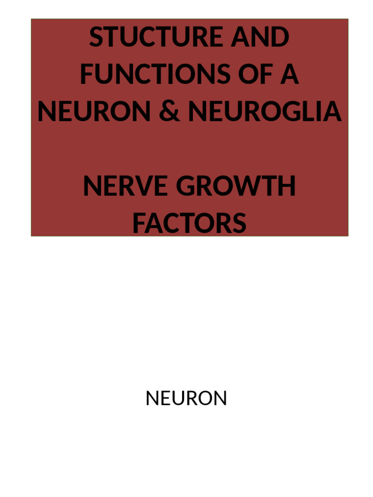 Stucture and Functions of A Neuron & Neuroglia | PDF | Axon | Myelin