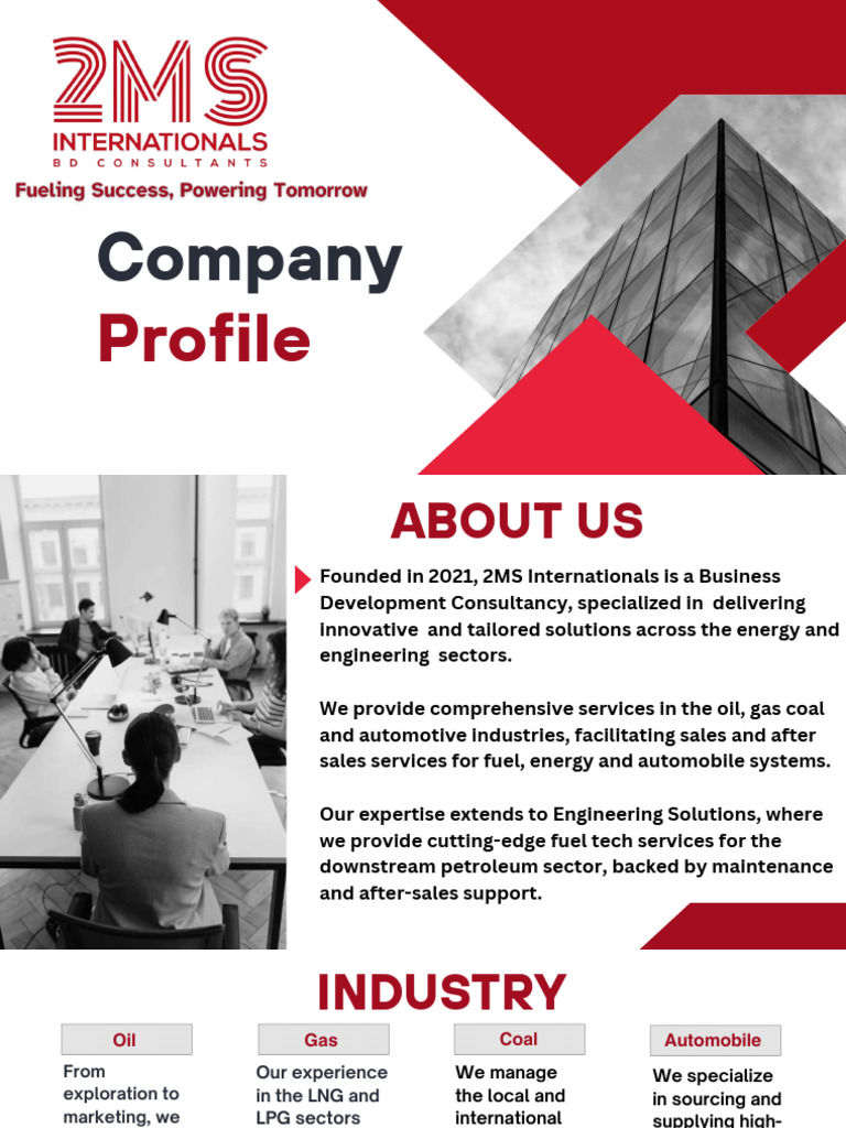 @2MS International Company Profile | PDF | Natural Gas | Petroleum