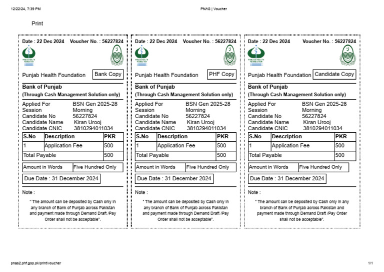 PNAS - Voucher | PDF | Banks | Service Industries