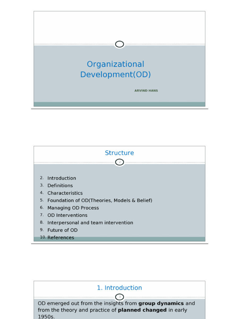 Fundamentals of OD - 2024-1 | PDF