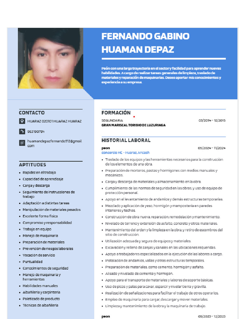 CV Fernando Gabino Huaman Depaz | PDF