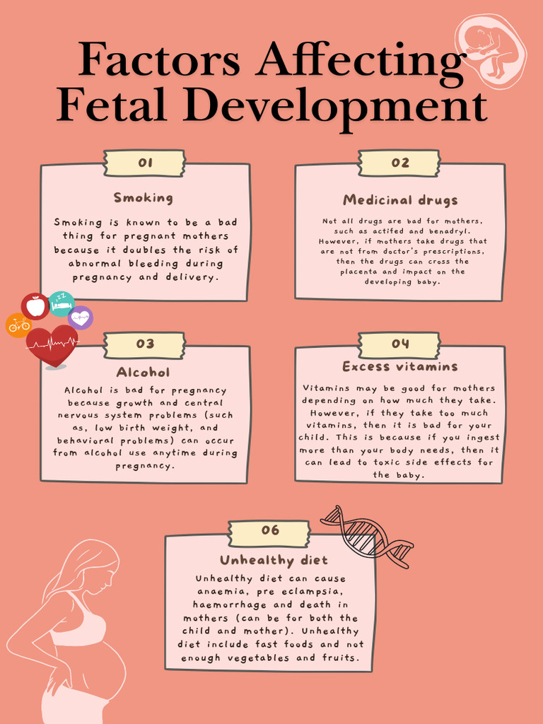 Factors Affecting Fetal Development - Luca Sec 2A | PDF