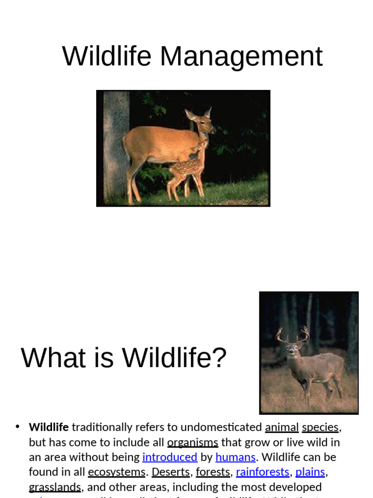 Wildlife Management and Protection Act | PDF | Wildlife | Environmental ...