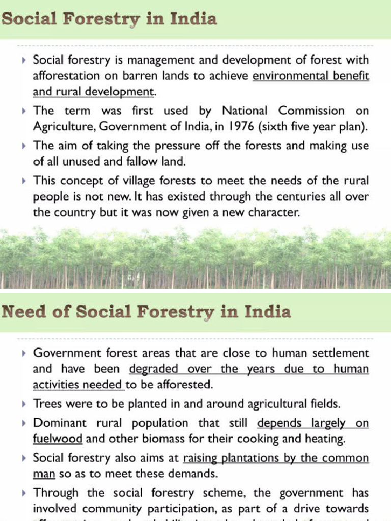 Overview of Social Forestry Types | PDF