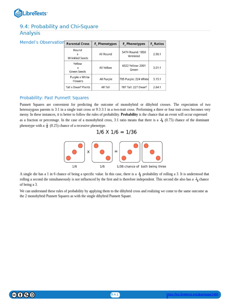 9.04 Probability and Chi-Square Analysis | PDF | Genetics