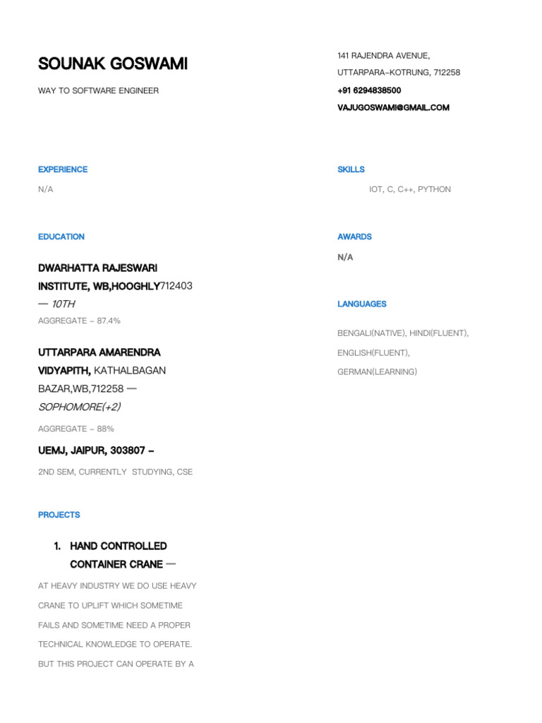 Aspiring Software Engineer's Journey | PDF