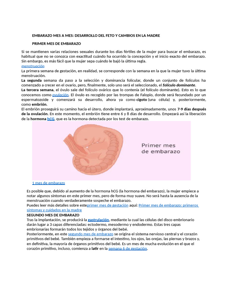 Desarrollo Fetal Mes a Mes | PDF | El embarazo | Ciclo menstrual