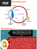 Human Eye Structure & Defects Notes | PDF | Eye | Human Eye