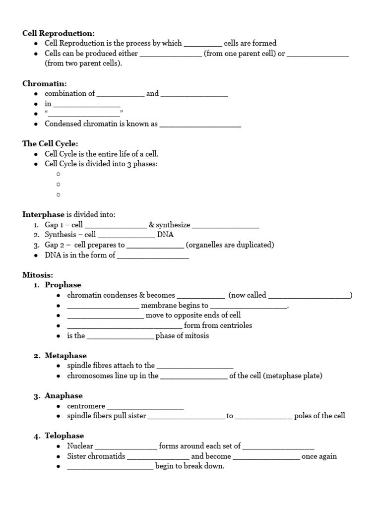 Note - The Cell Cycle PDF | PDF | Mitosis | Cell Cycle