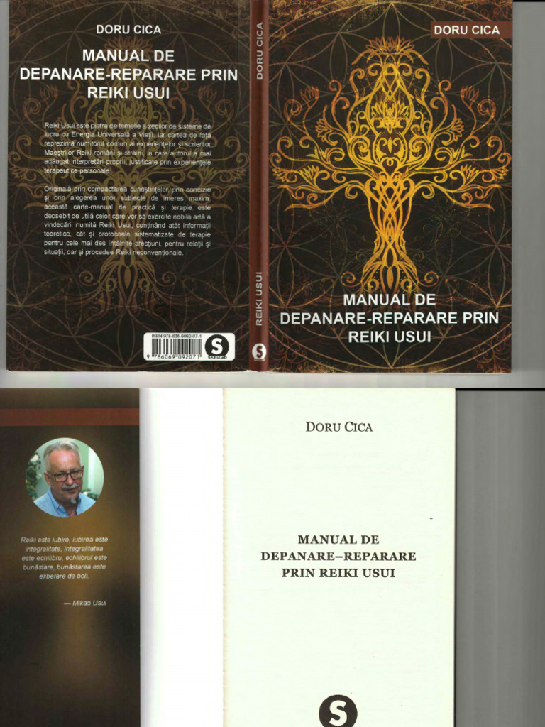 Doru Cica - Manual de depanare-reparare prin Reiki reduced | PDF