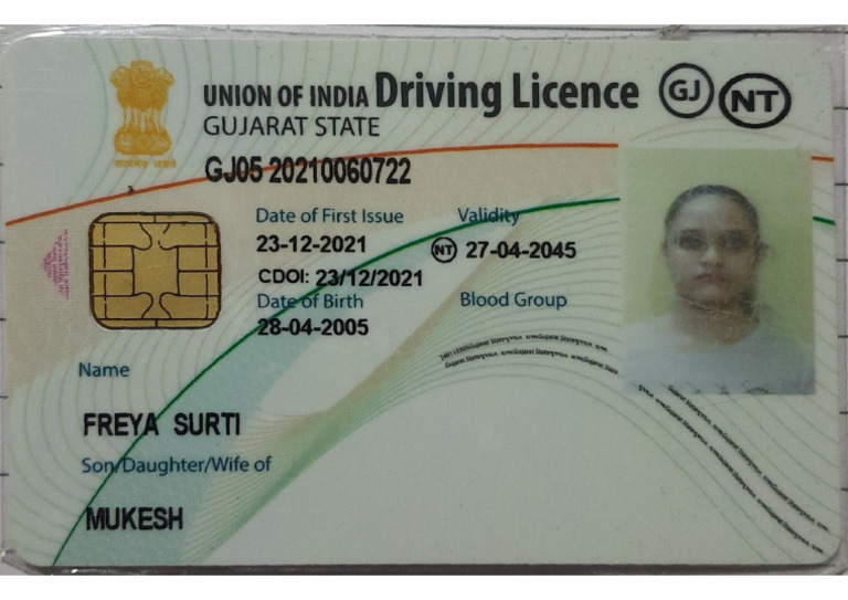 Driving Licence | PDF