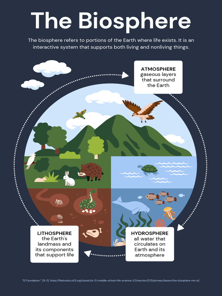 Earth’s Hydrosphere Overview | PDF