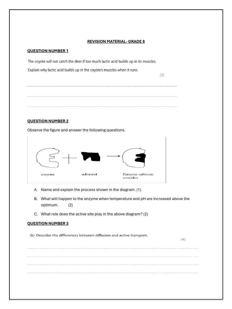 Grade 8 Revision Material CT-2 | PDF