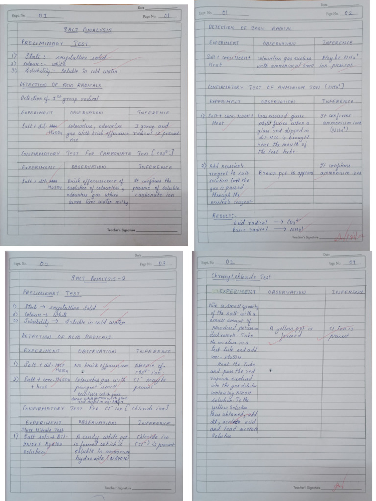 Chemistry Class 12 Practical | PDF