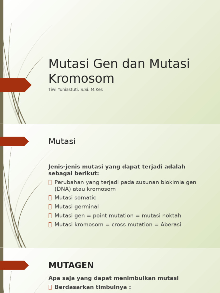 Mutasi Gen dan Kromosom | PDF