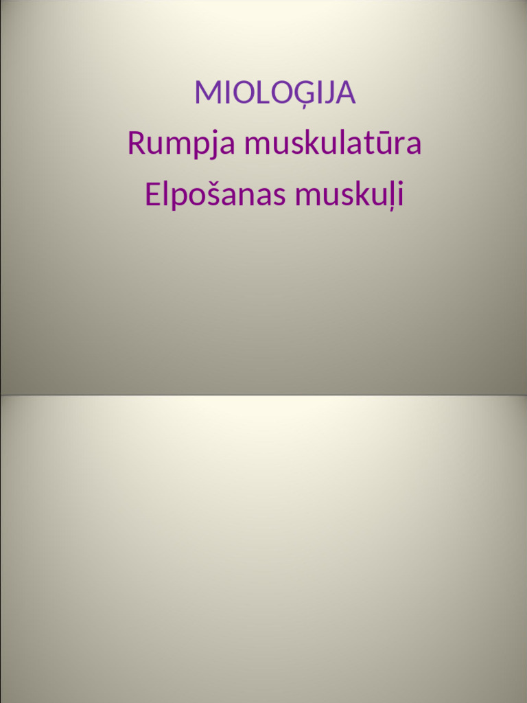 6 RUMPIS Muskuli | PDF