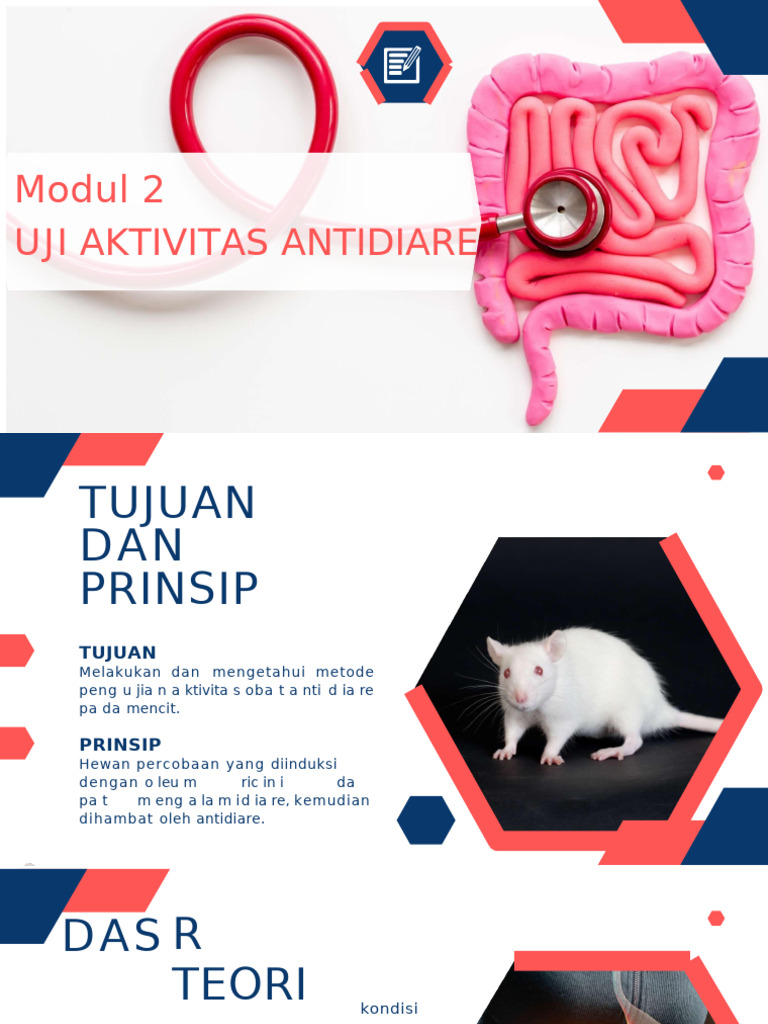 Responsi Modul 2 Antidiare | PDF