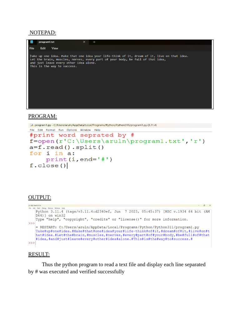 Python File Handling Programs | PDF