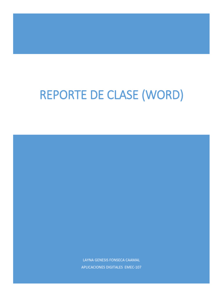 Reporte Uso de Word.layna-1 | PDF