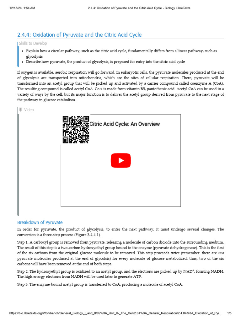 Oxidation of Pyruvate and The Citric Acid Cycle - Biology LibreTexts ...