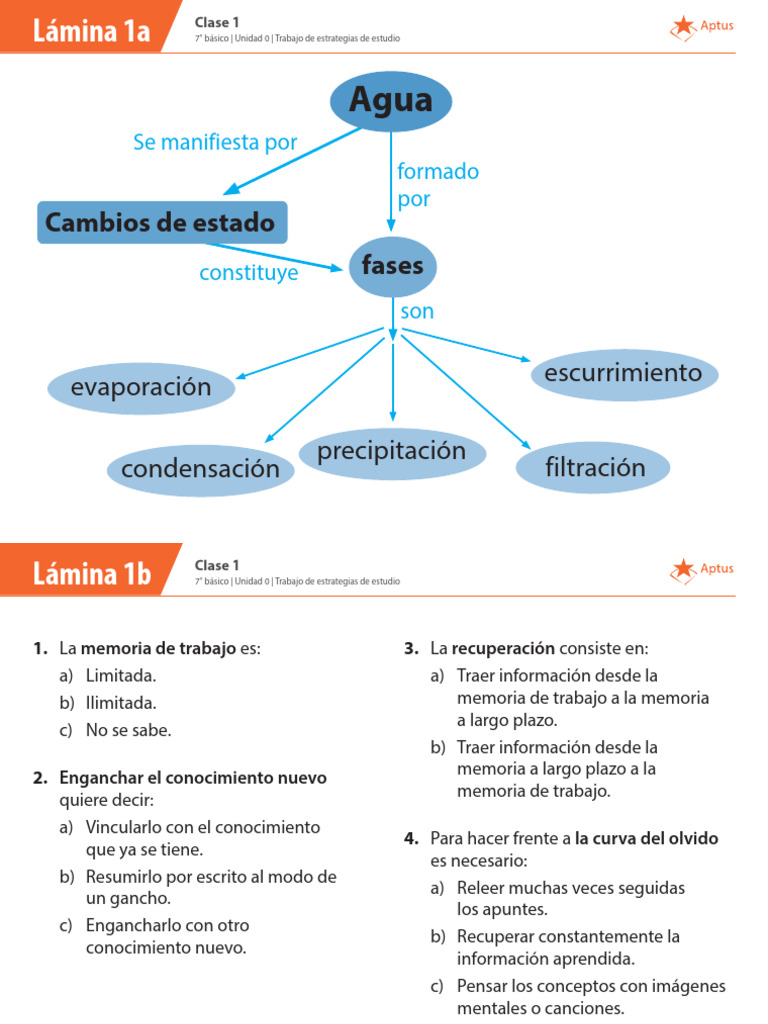 2024 7 basico Lenguaje y Comunicacion Modulo 0 Clase 1 Laminas | PDF | Memoria | Neurociencia