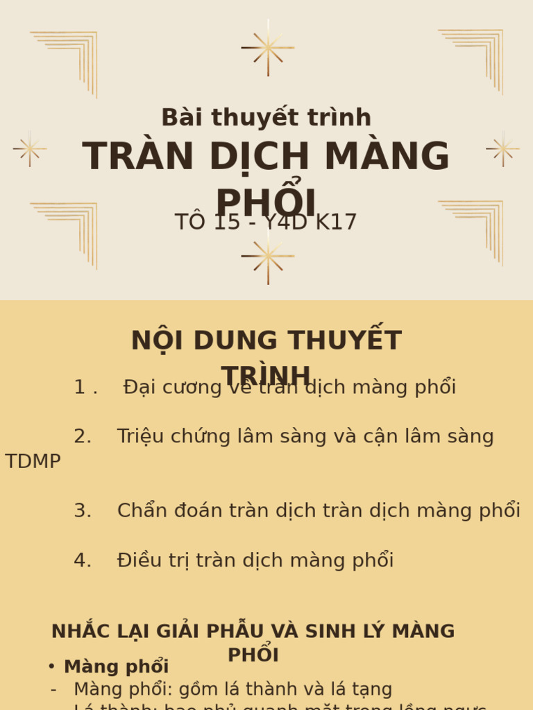 TDMP - T 15 | PDF