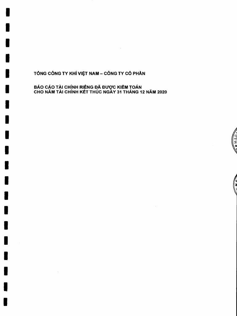 BCTC Da Duoc Kiem Toan Nam 2020 | PDF