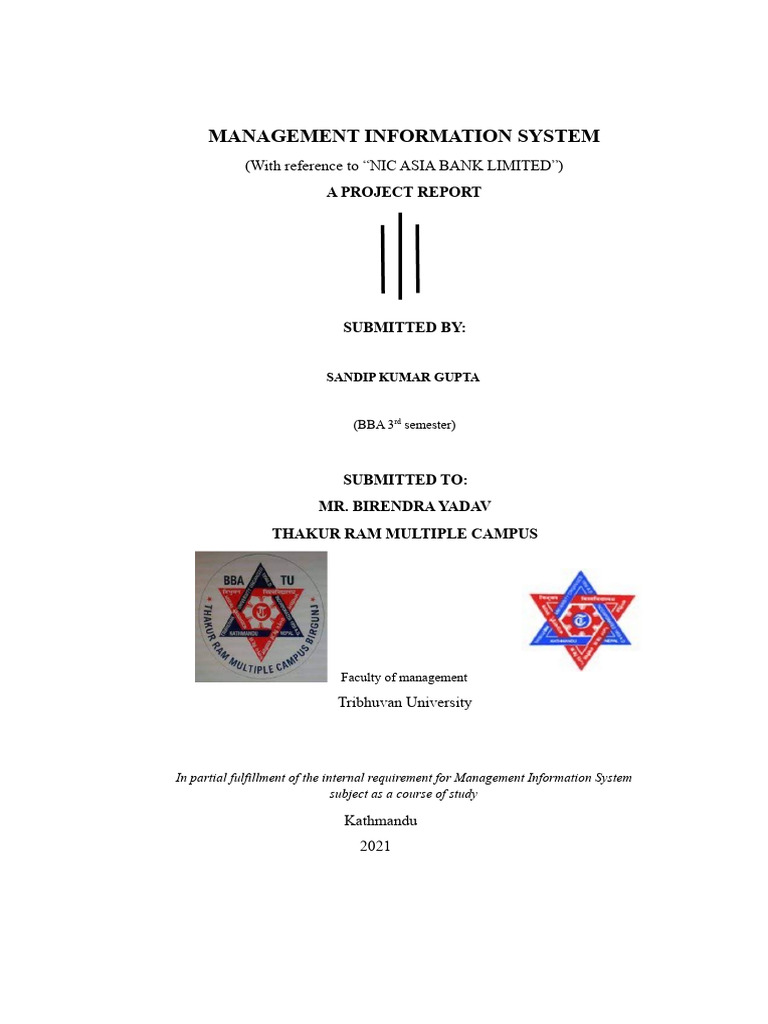 Final MIS Report - Copy (1) | PDF | Computer Security | Security