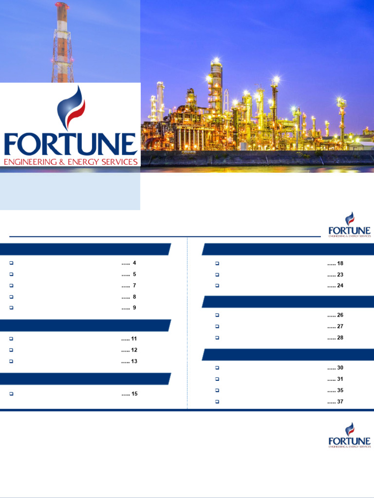 Fortune_IM_Draft (1) | PDF | Valuation (Finance) | United Arab Emirates