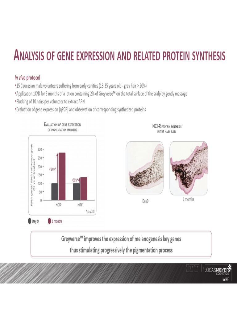 Greyverse-ç_Clinicalstudy ...