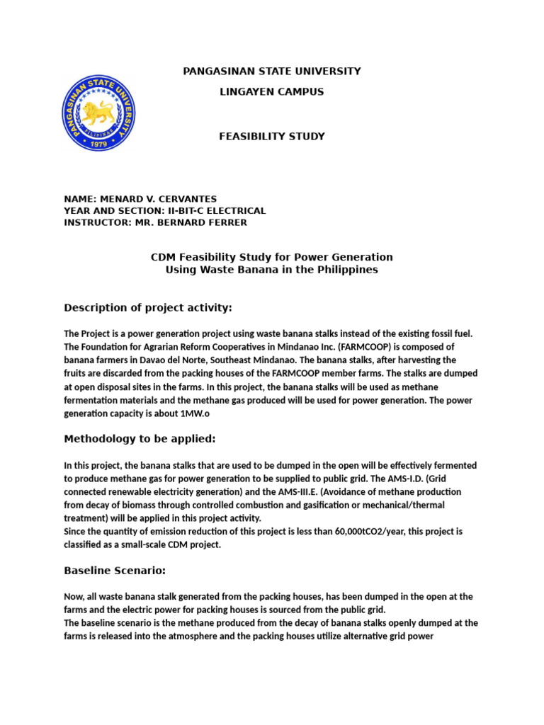Feasibility Study Pdf Clean Development Mechanism Electricity